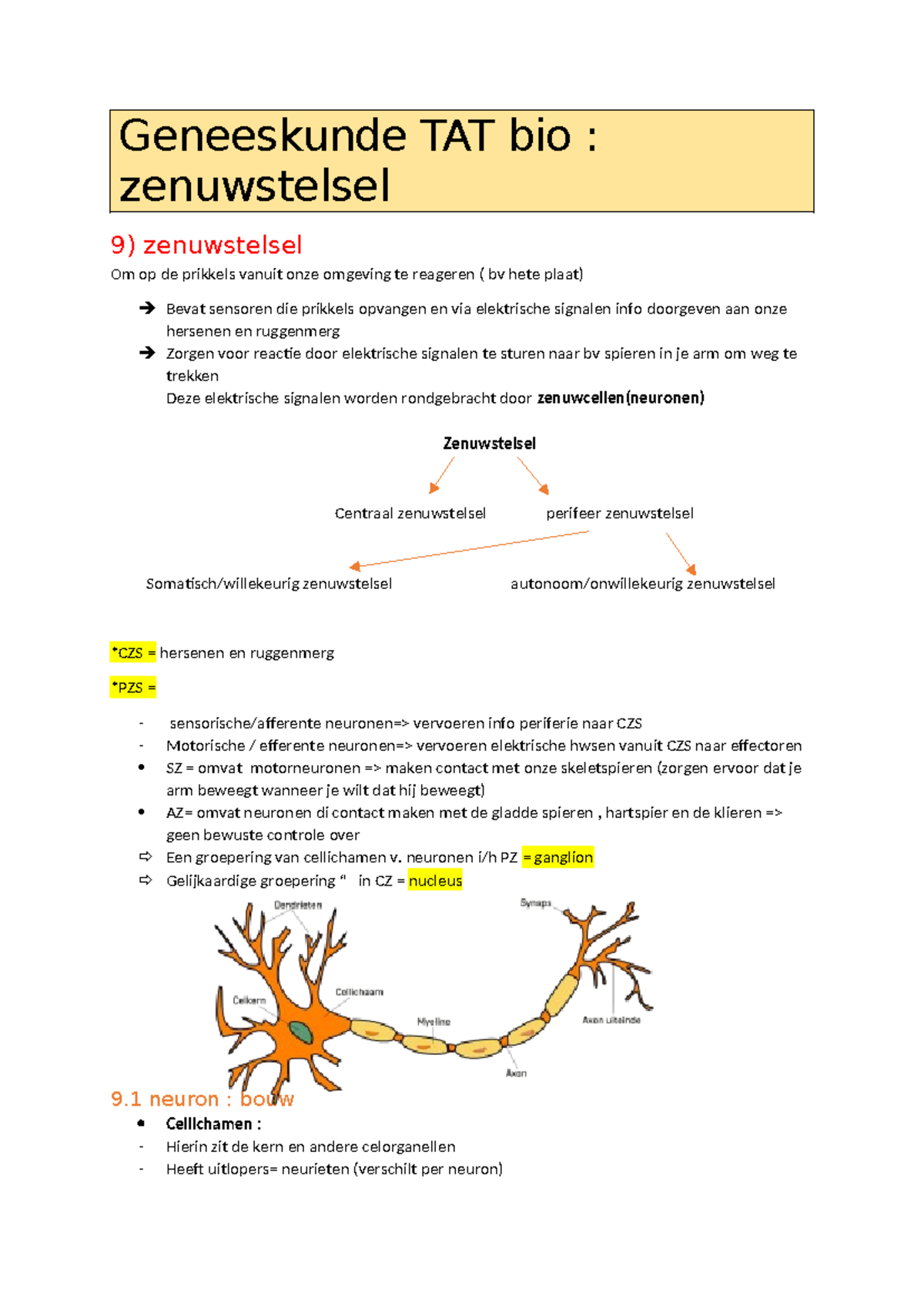 Zenuwstelsel of neuraal coordinatiestelsel TAT BIO - Geneeskunde TAT ...
