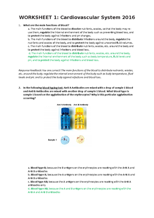 Practical 1 Cardiovascular System 1 - NATS1010 Human Anatomy and ...