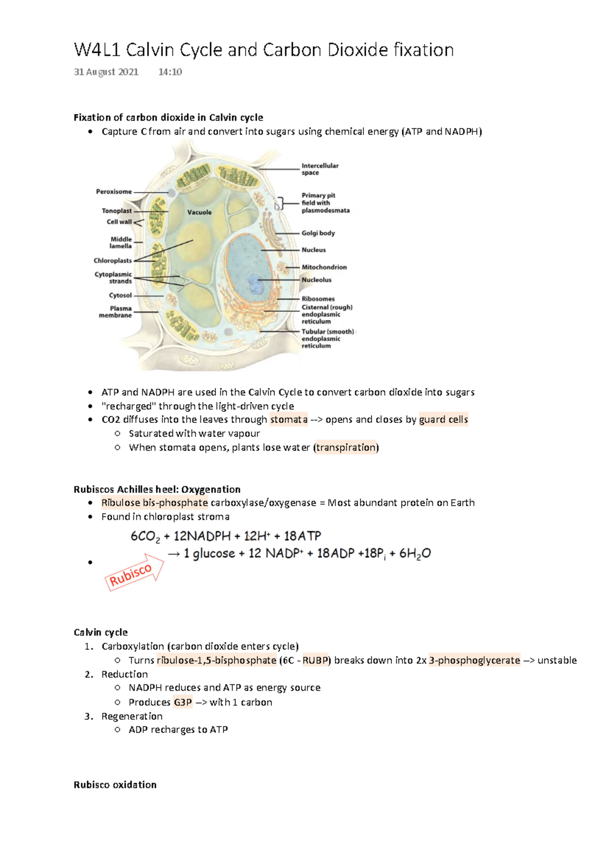 L10 notes - W4L1 Calvin Cycle and Carbon Dioxide fixation 31 August ...
