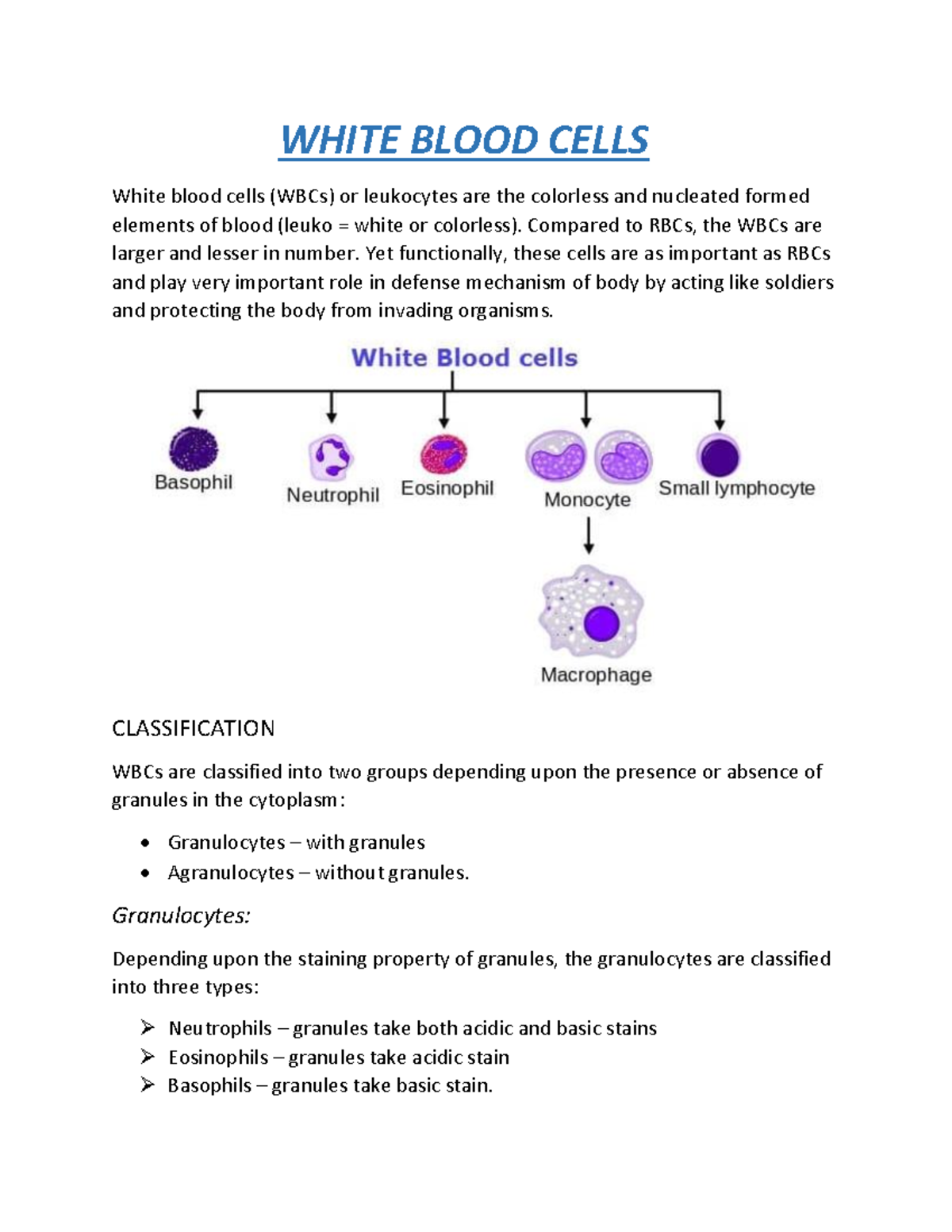 White Blood Cells - WHITE BLOOD CELLS White blood cells (WBCs) or ...