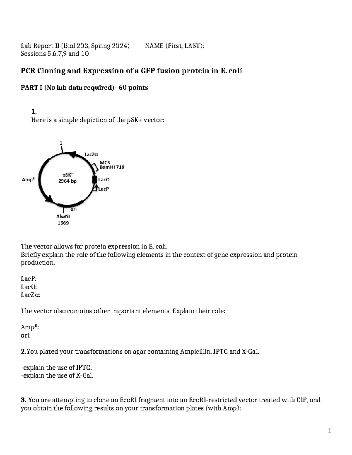 Report II-template-2024 - Lab Report II (Biol 203, Spring 2024) NAME ...