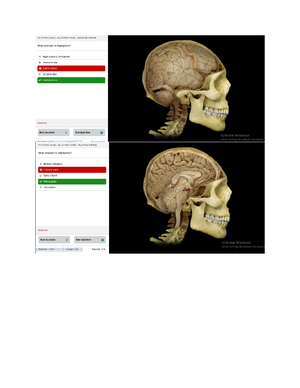 Regulation vs Deregulation.docx 2 edit - Regulation vs Deregulation ...