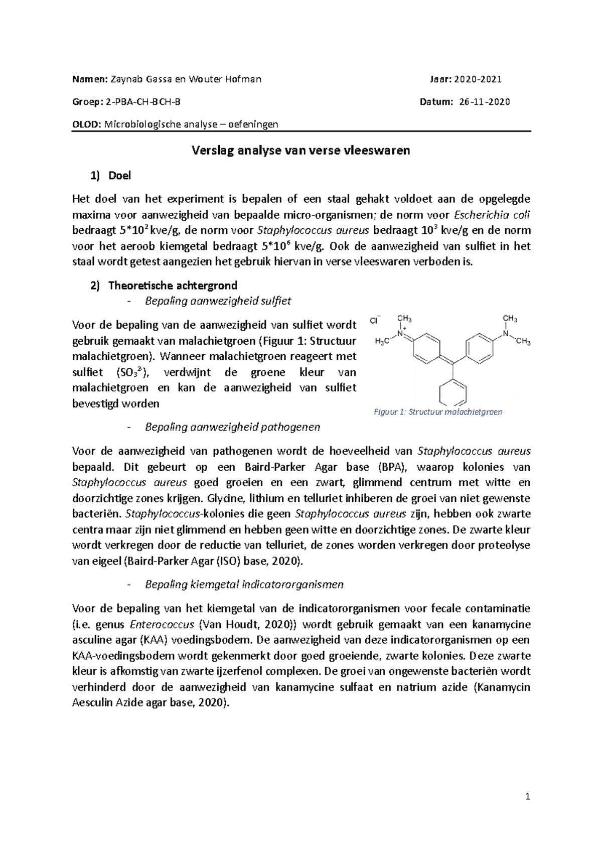 Verslag-vlees - Namen: Zaynab Gassa en Wouter Hofman Jaar: Groep: Datum ...
