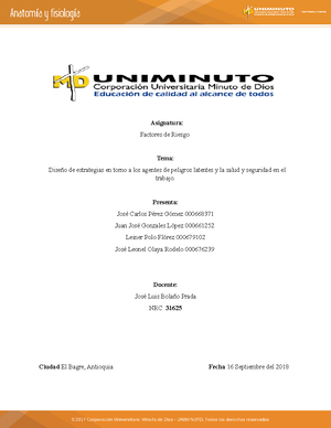 NIA 265 p def - MAPA CONCEPTUAL SOBRE LA NIA 265 - NORMA INTERNACIONAL ...