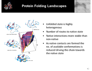 Wk 5 Video 4 slides - 1pp - Observing Protein Dynamics by NMR Dynamics ...