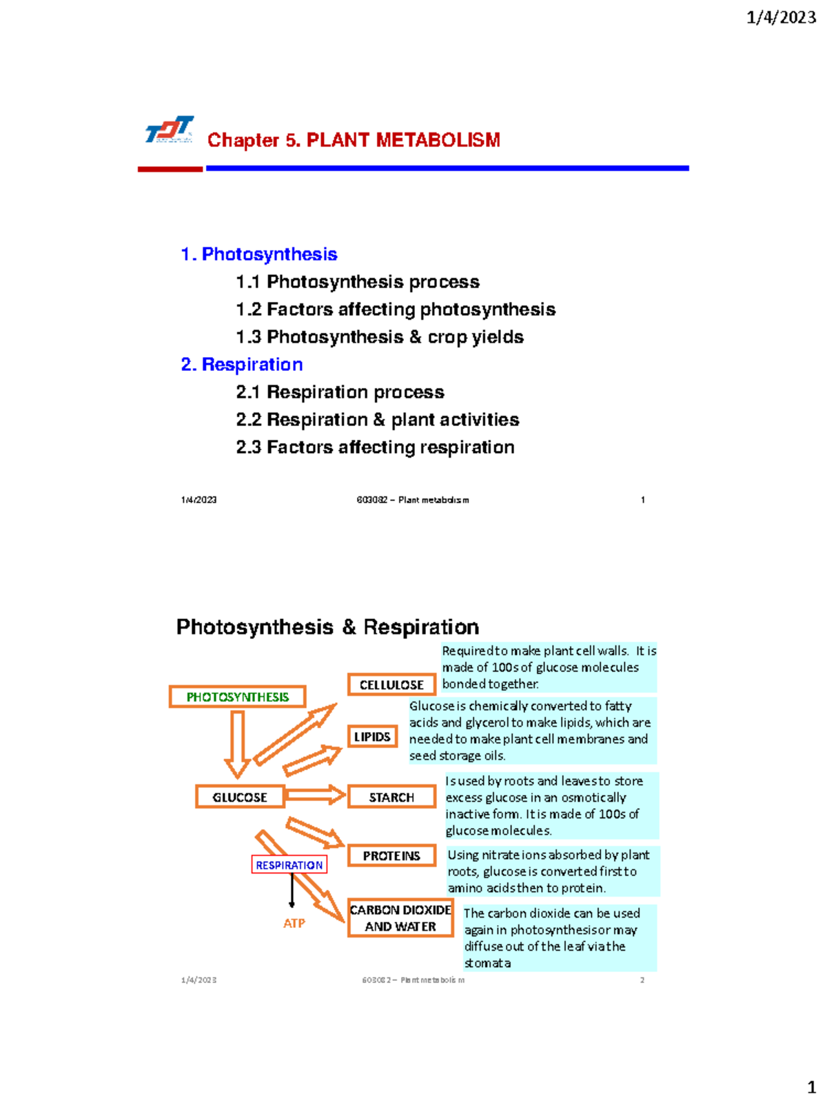 603082 chuong 5 Plant Metabolism - 1 Photosynthesis 1 Photosynthesis ...