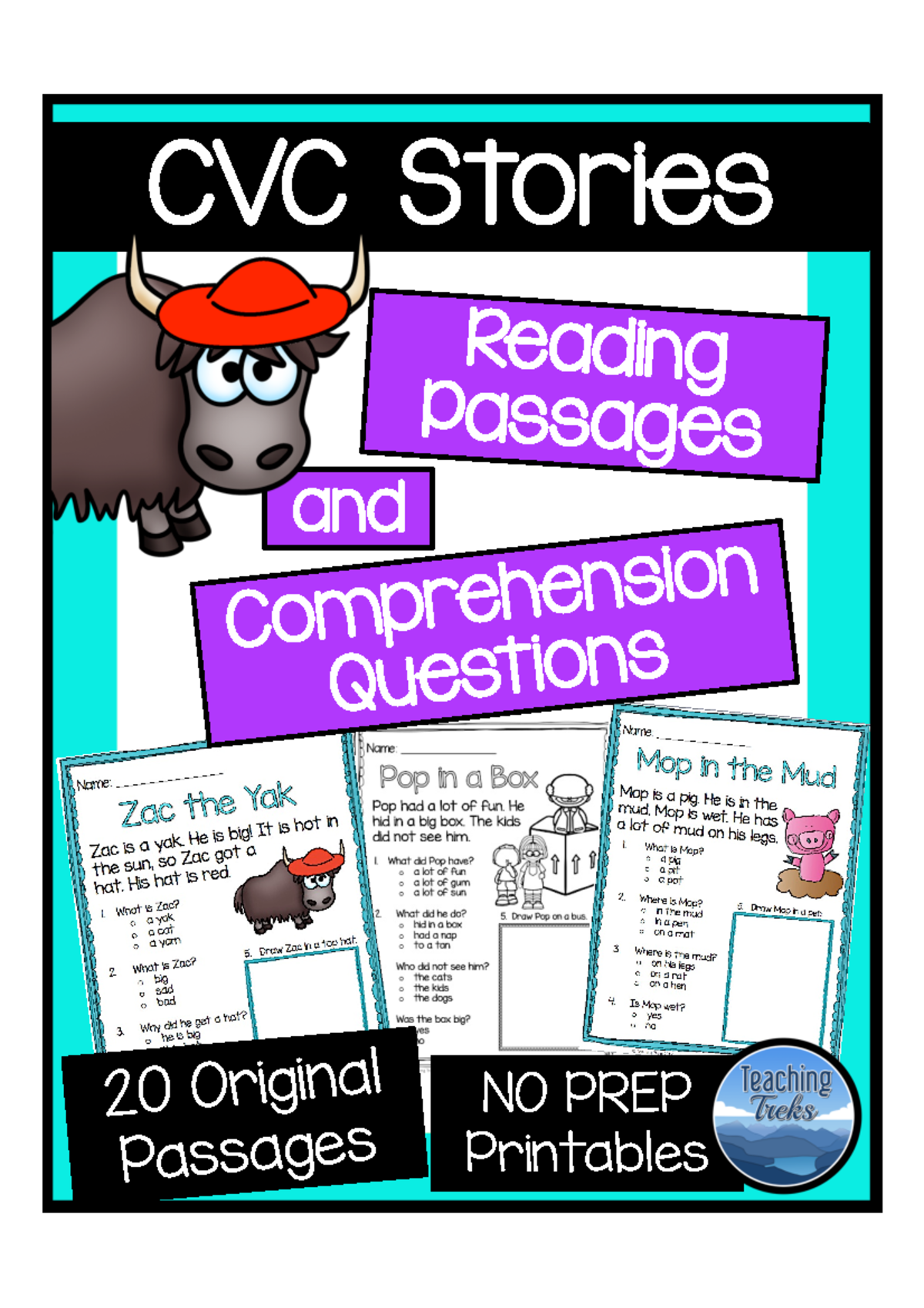 Reading Material - Practice - Read ing Pass ages CVC Stories and Co mp ...