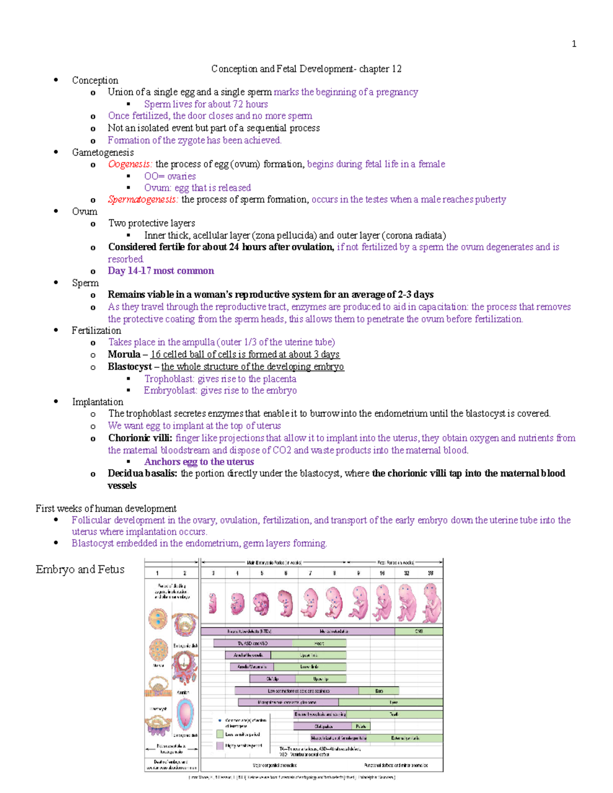 OB Chapter 12 - Maternity and Care of child study guides - Conception ...