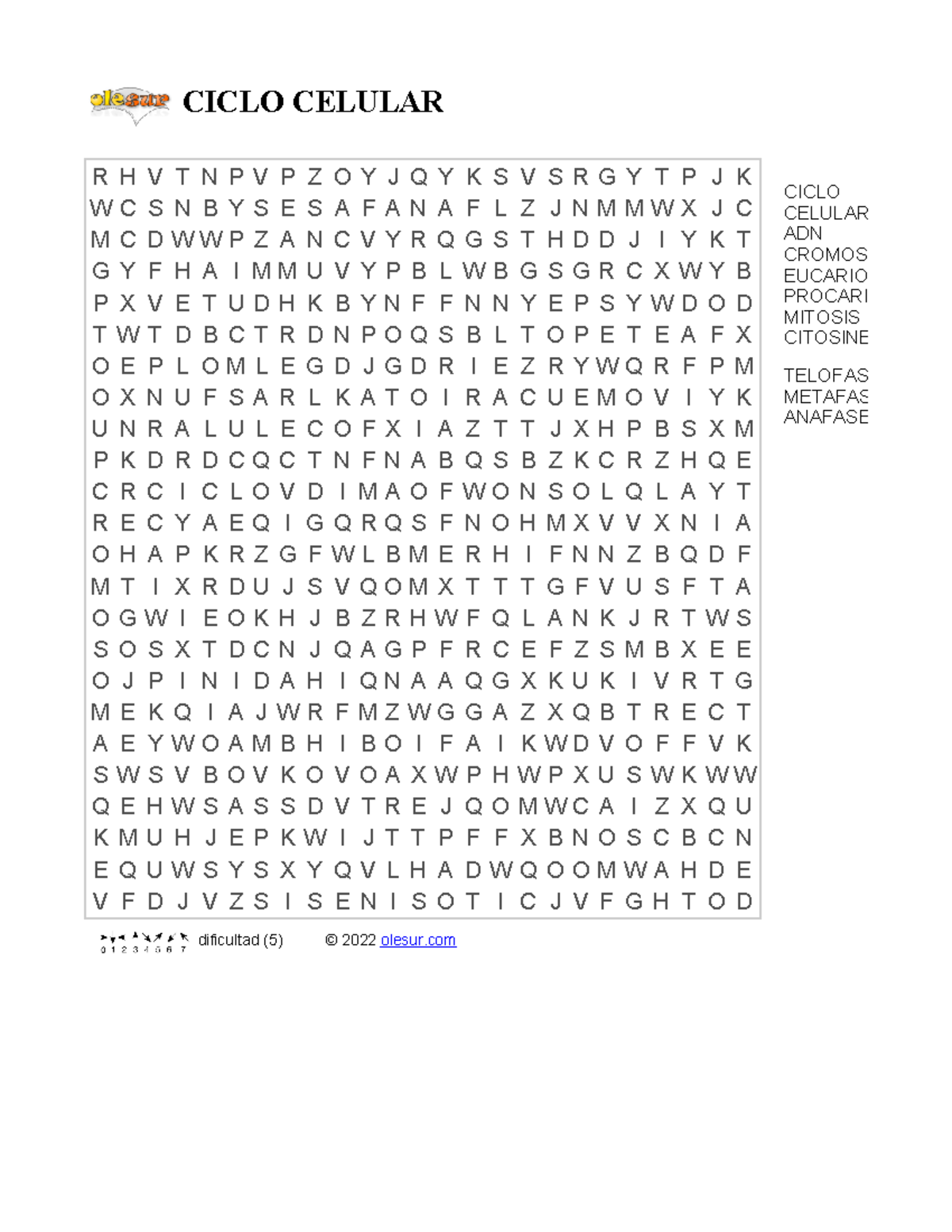 Sopa de letras 633 - promedio de una poblacion - CICLO CELULAR R H V T ...