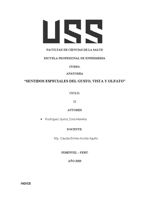 Cerebelo - Anatomia Y Fisiologia I - FOLIUM CULMEN DECLIVE Língula CARA ...