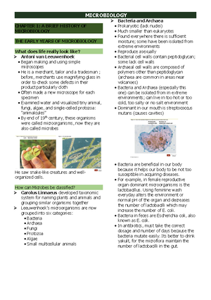 Chapter 4 of Micropara - notes... - Microbes can be divided into those ...
