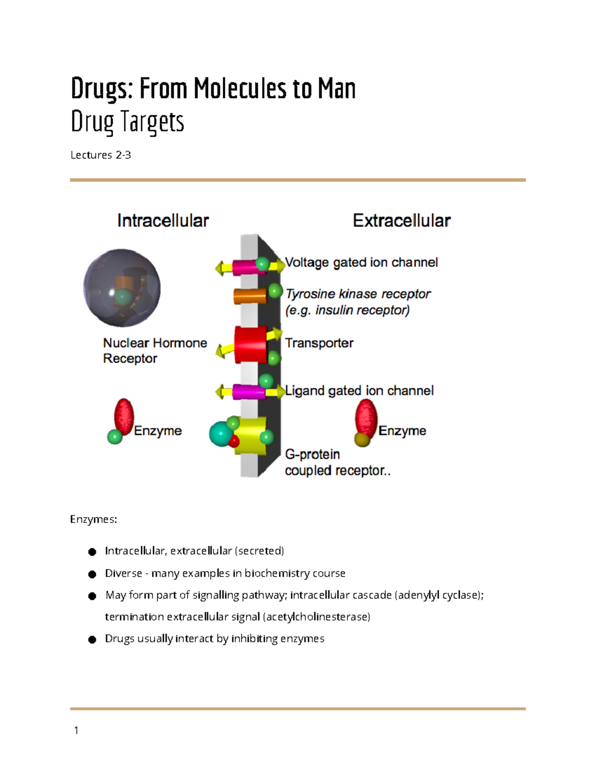 Drug Targets - Lecture notes 1-3 - Drugs: From Molecules to Man Drug ...