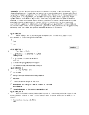 Quiz 1 - Neuroanatomy practice quiz questions - Scenario: Efficient ...