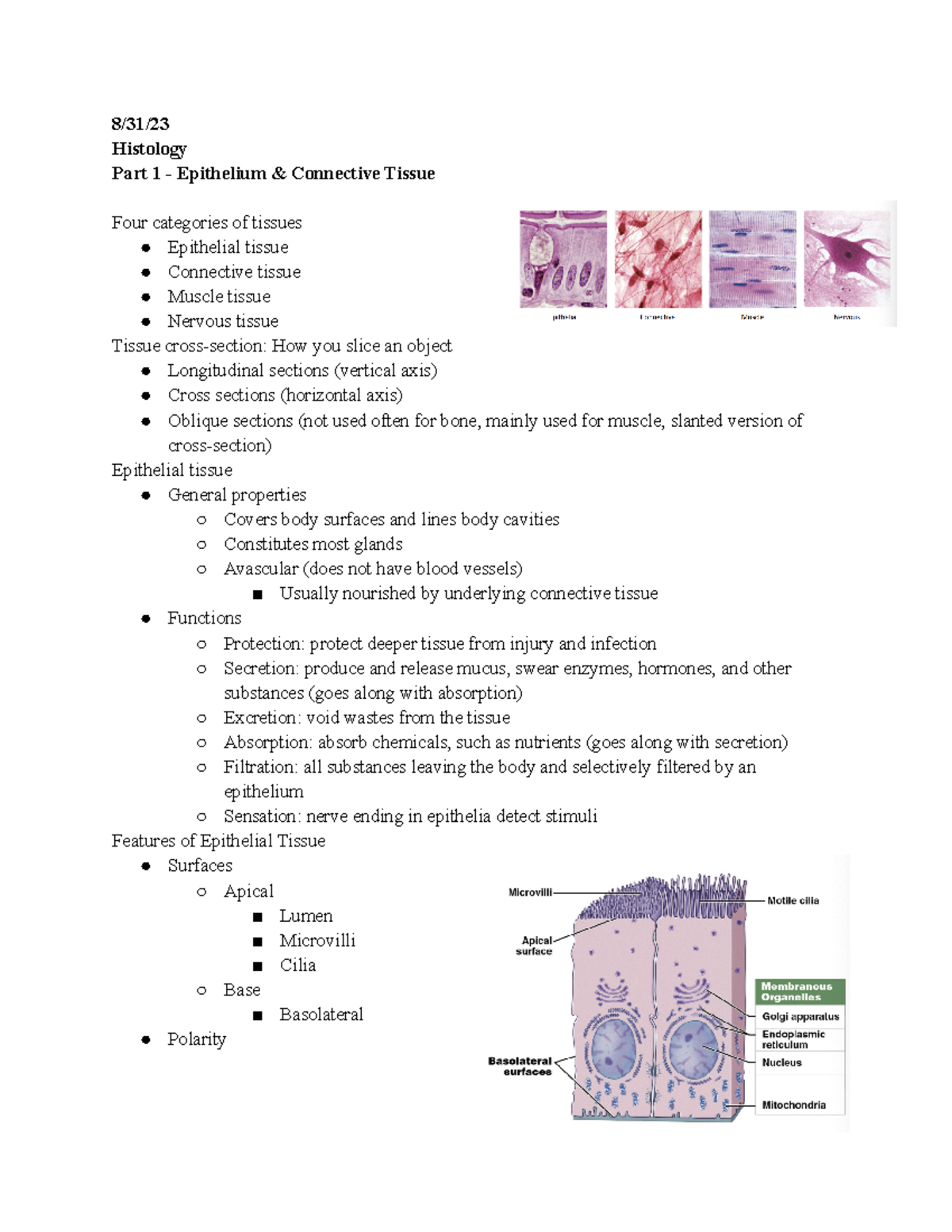 KAAP309 Lecture Notes - 8/31/ Histology Part 1 - Epithelium ...