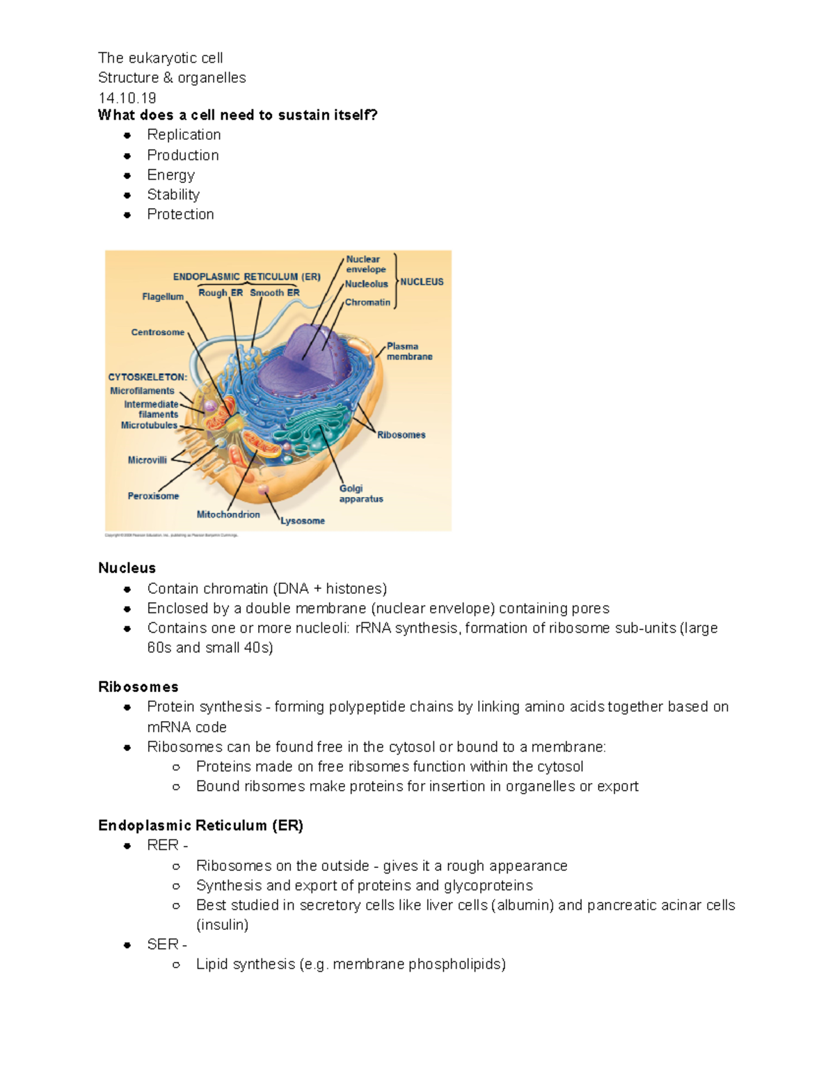 Lecture 6 Eukaryotic Cell Structure and Organelles - The eukaryotic ...