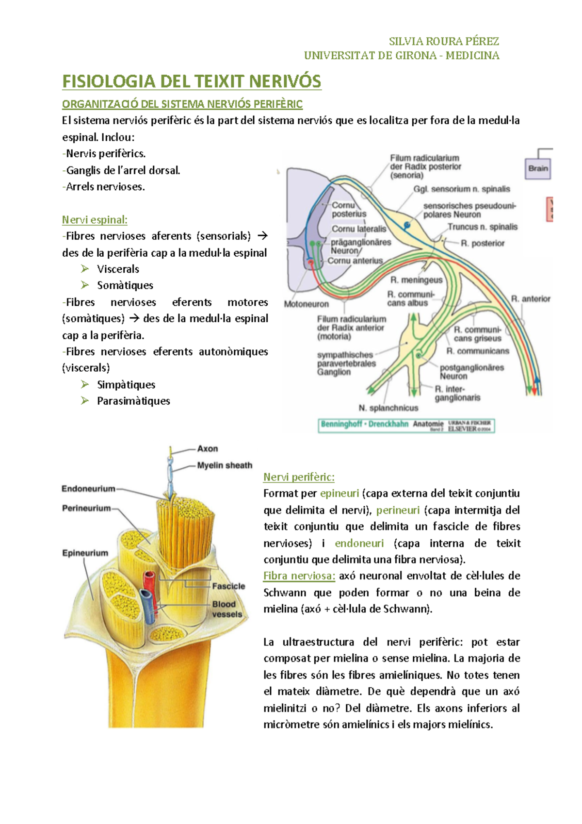 FISIOLOGIA DEL TEIXIT NERVIÓS - SILVIA ROURA PÉREZ UNIVERSITAT DE ...