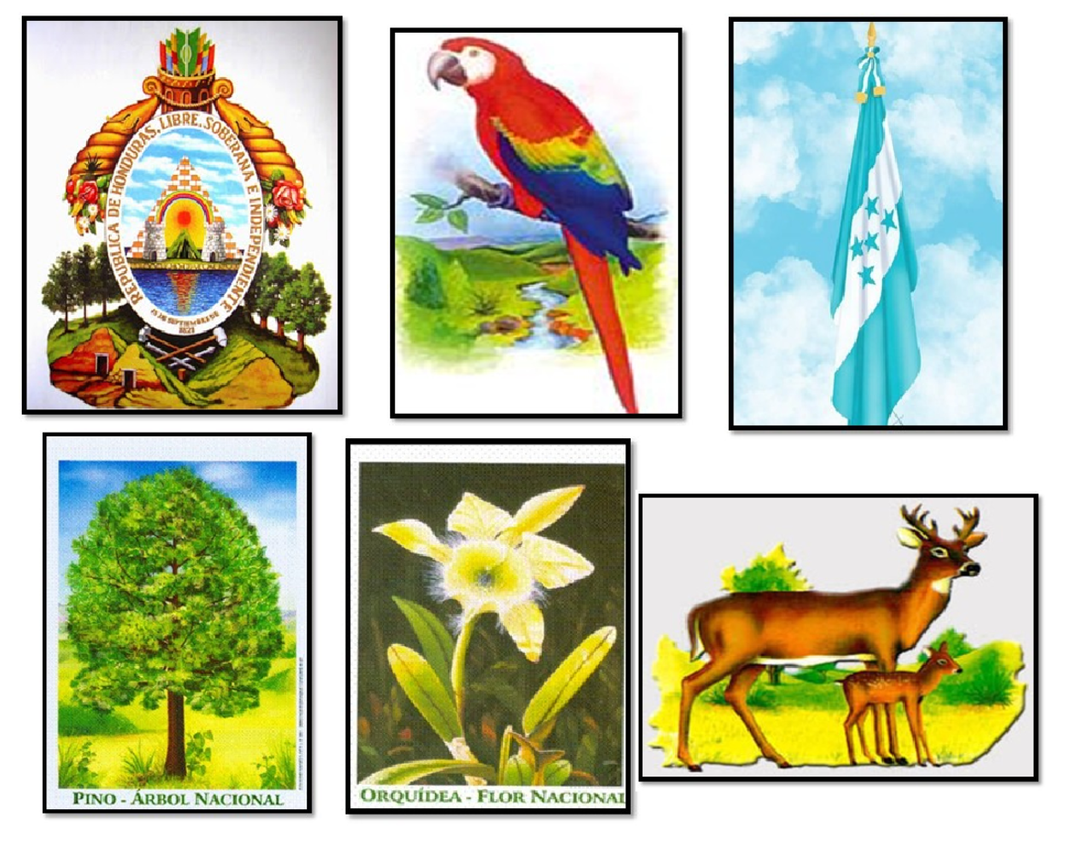 Simbolos y proceres - Historia de Honduras - Studocu