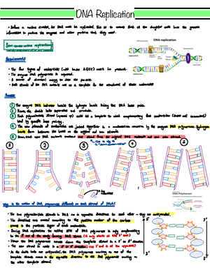 EXAM 2 CELL BIO Concept - review - EXAM 2 CELL BIO CONCEPT —- NADH ...