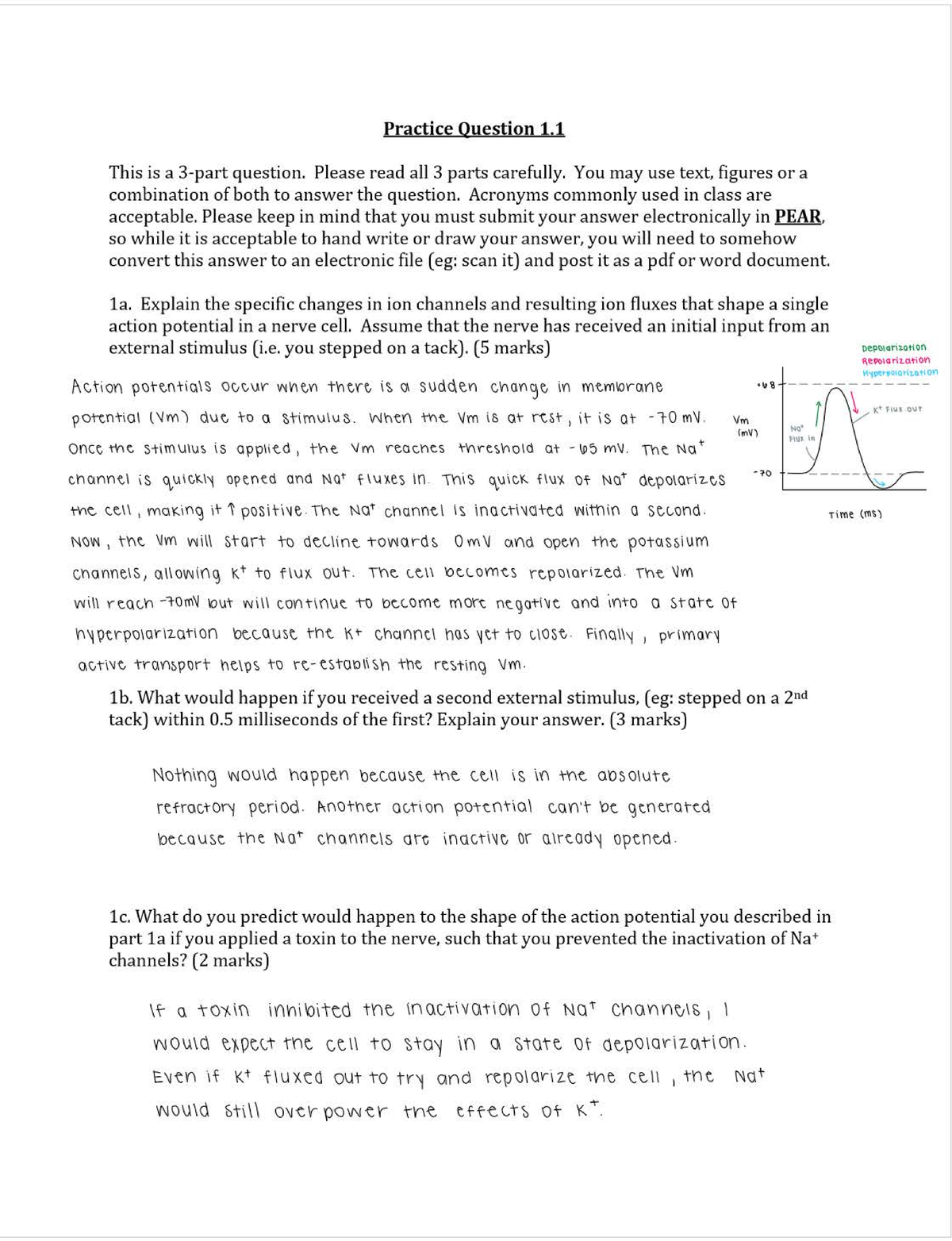 Practice Question 1 - HK 2810 - Studocu