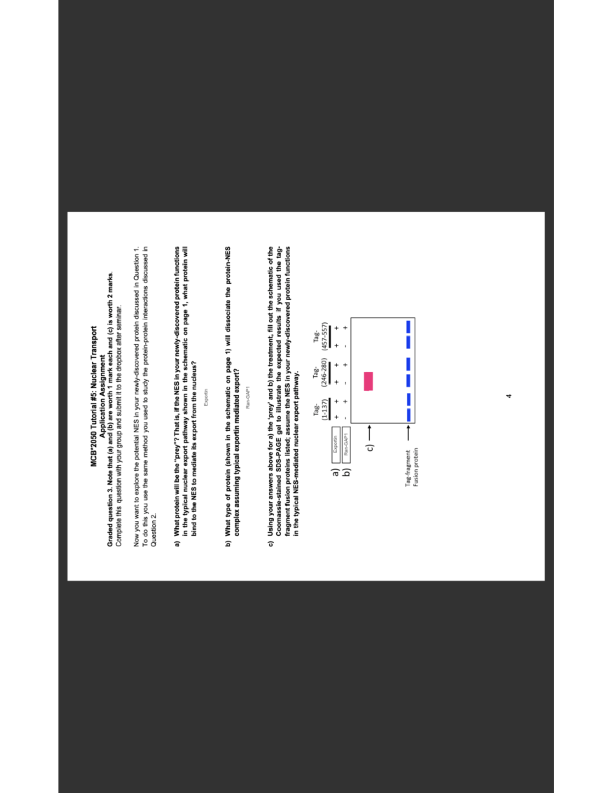 Tutorial 5 - MCB 2050 - Studocu
