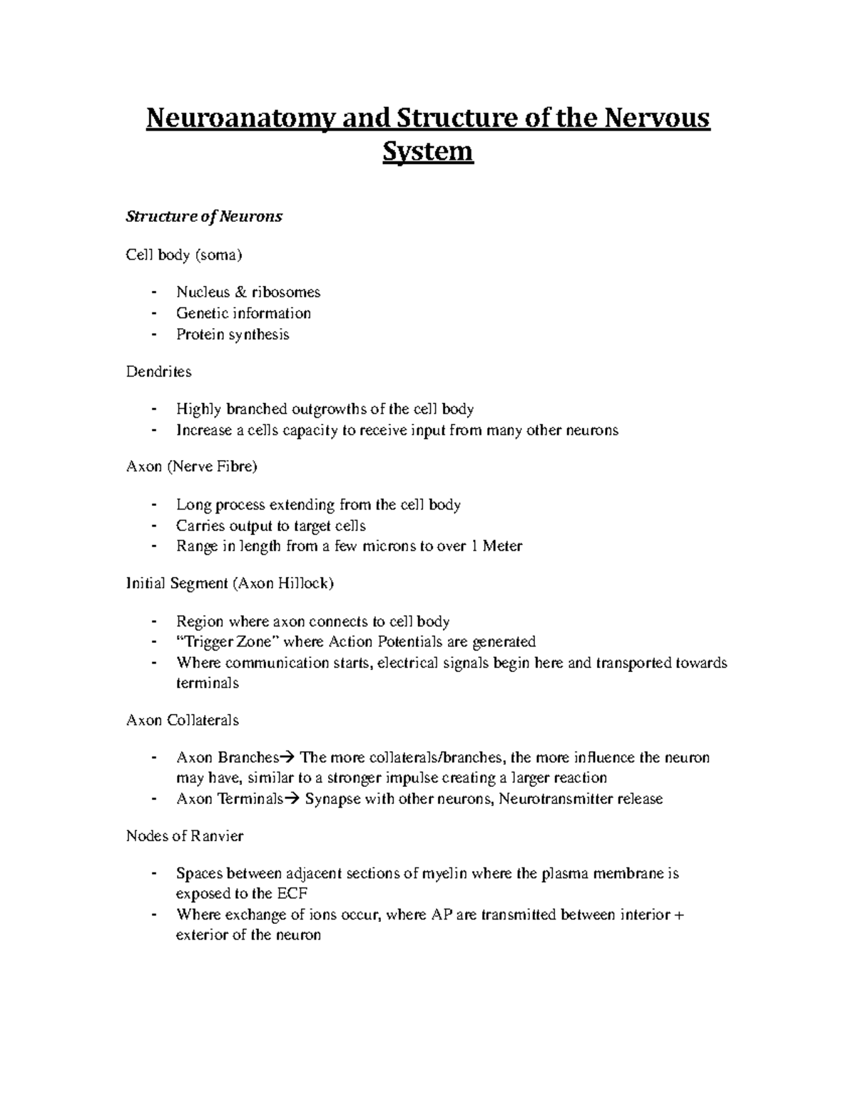 Neuroanatomy Structure Nervous System - Neuroanatomy and Structure of ...