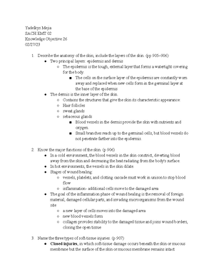 Chapter 2 - Emergency Care of the sick and injured: Ch 2- Workforce ...