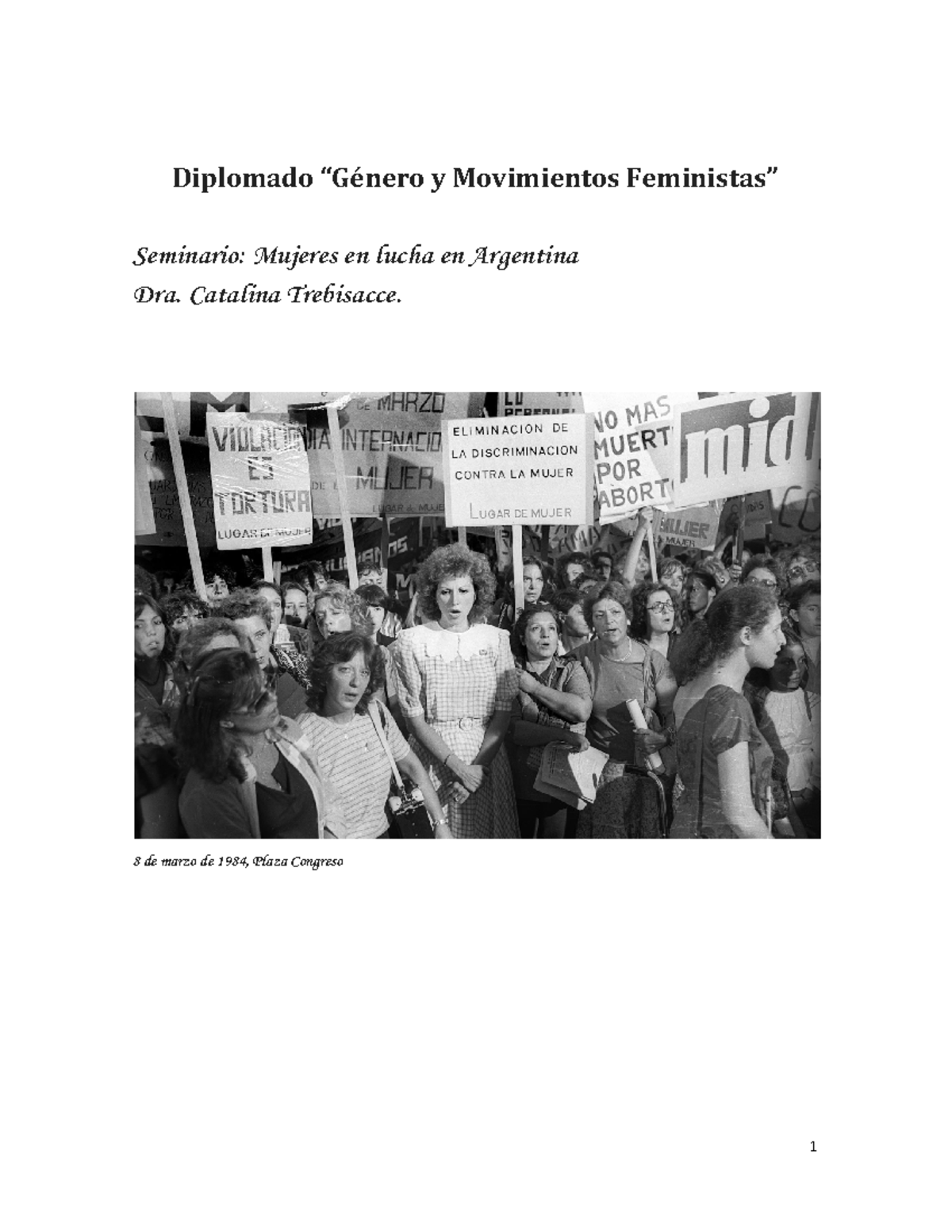 Clase 4 -Feminismo en plural... (C. Trebisacce) - Diplomado “Género y ...