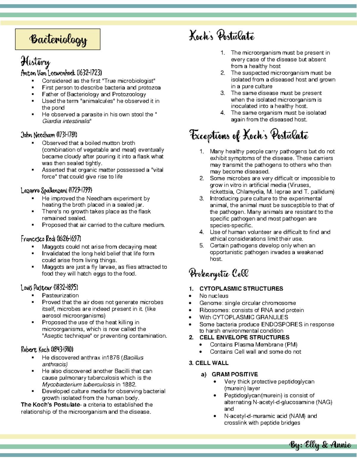 Basic Bacteriology - Bacteria are small single-celled organisms ...