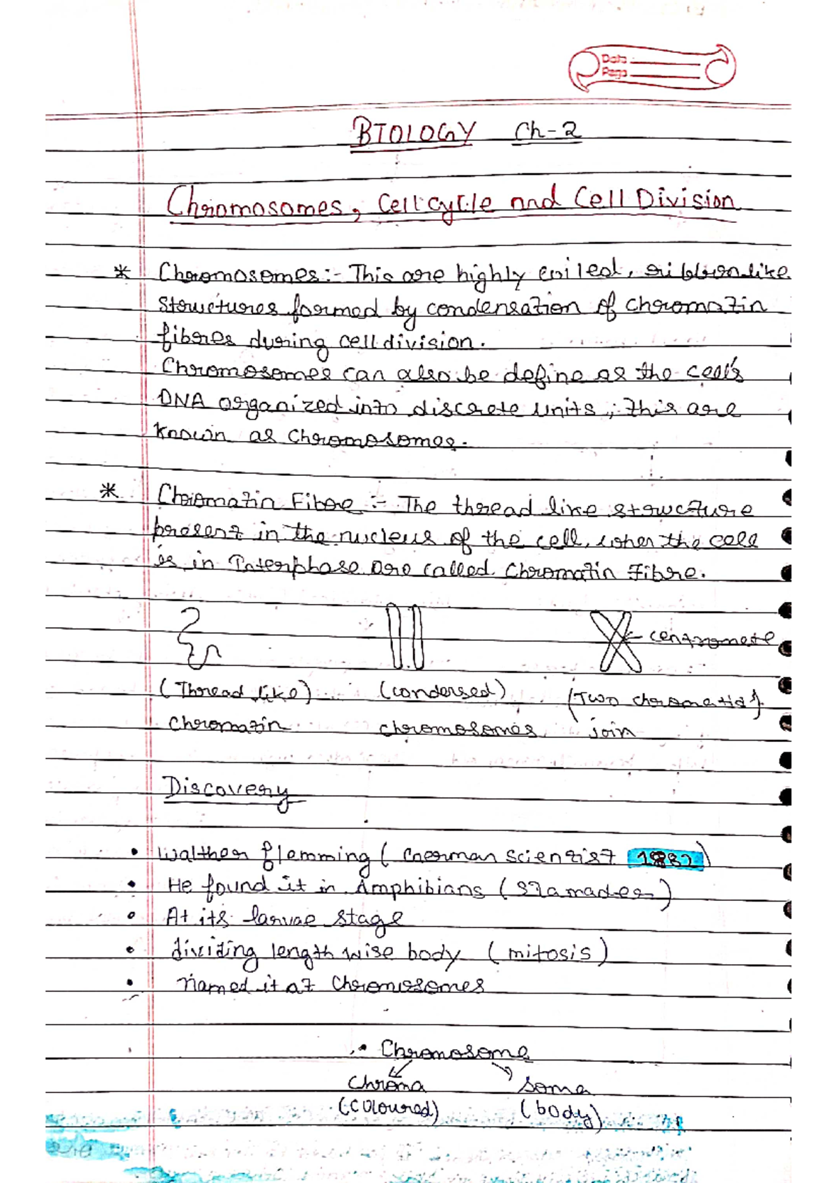 Cell division and chromosomes notes - Date Page BIOLOGY Chromosomes, 2 ...