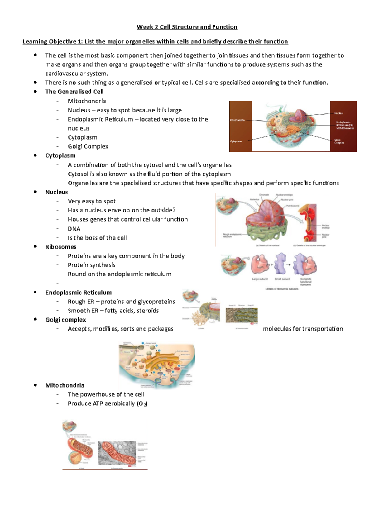 Week 2 Cell Structure and Function - Week 2 Cell Structure and Function ...