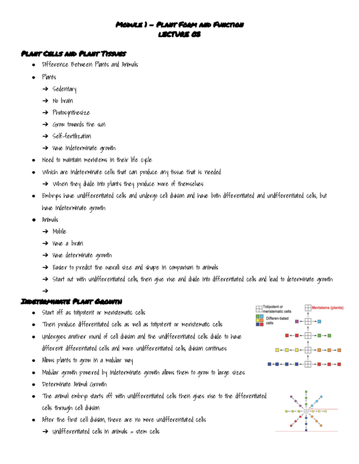 Lecture 03 BIOA02 - bio - Module 1 - Plant Form and Function lECTURE 03 ...
