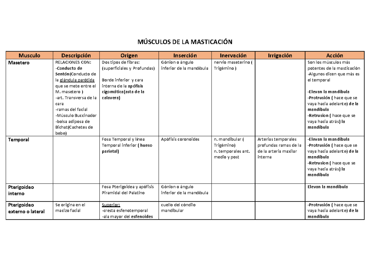 Musculos de los miembros inferiores y superiores - M⁄SCULOS DE LA MASTICACI”N Musculo ...