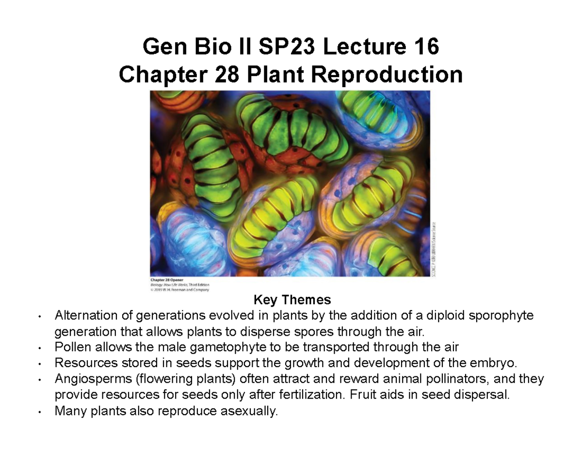 Gen Bio II SP23 Lecture 16 Plant Reproduction - Gen Bio II SP23 Lecture ...