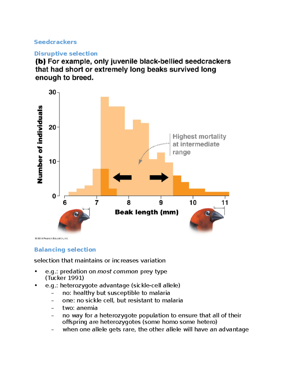 Heterozygote Advantage Graph