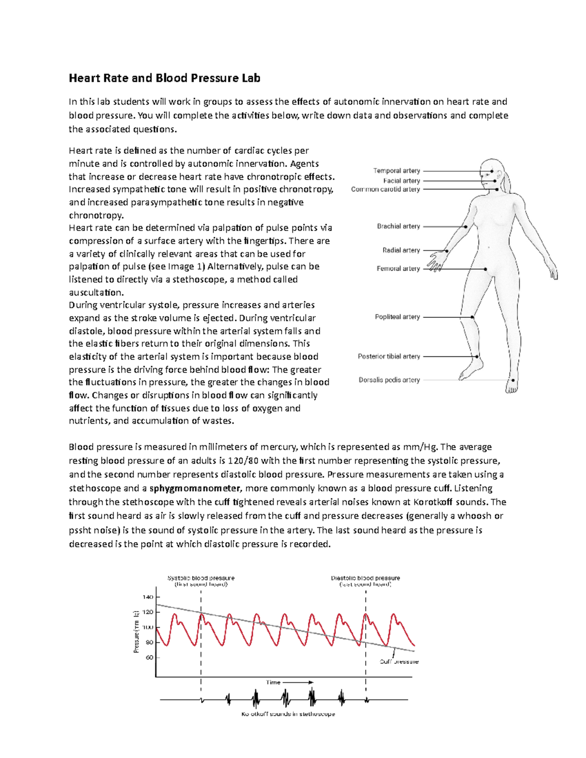 Heart Rate and Blood Pressure Lab - You will complete the activities ...
