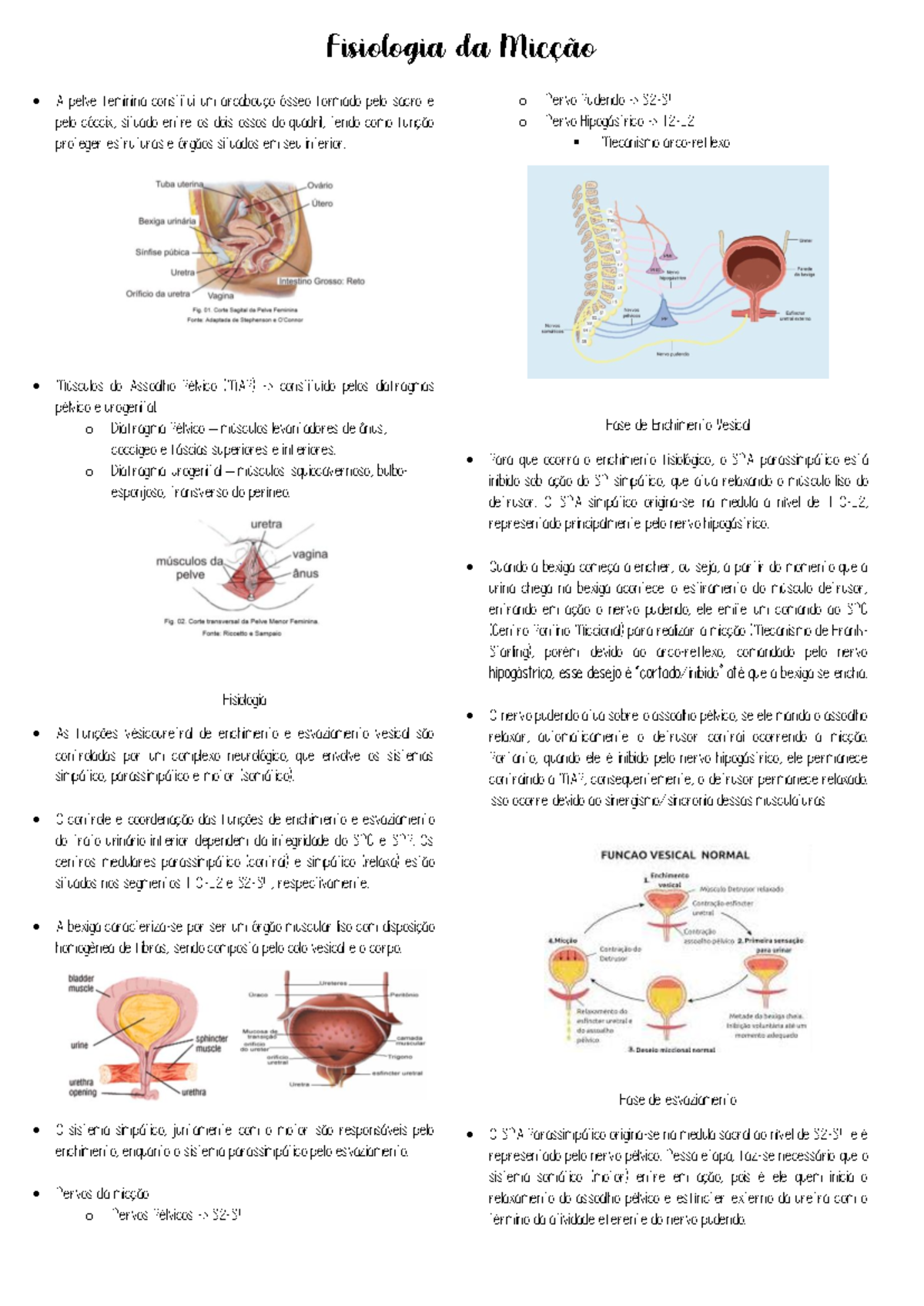 583199066 Fisiologia da Miccao - A pelve feminina constitui um ...