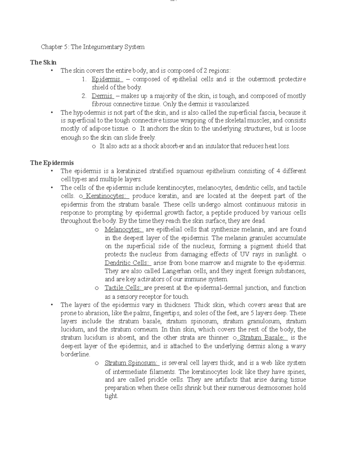 Chapter 5 integumentary system - Chapter 5: The Integumentary System ...