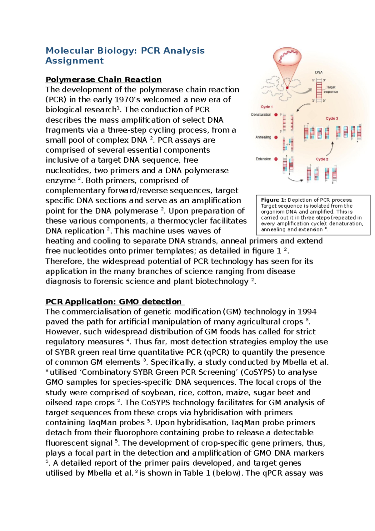 Molecular Biology- PCR Assignement - Molecular Biology: PCR Analysis ...
