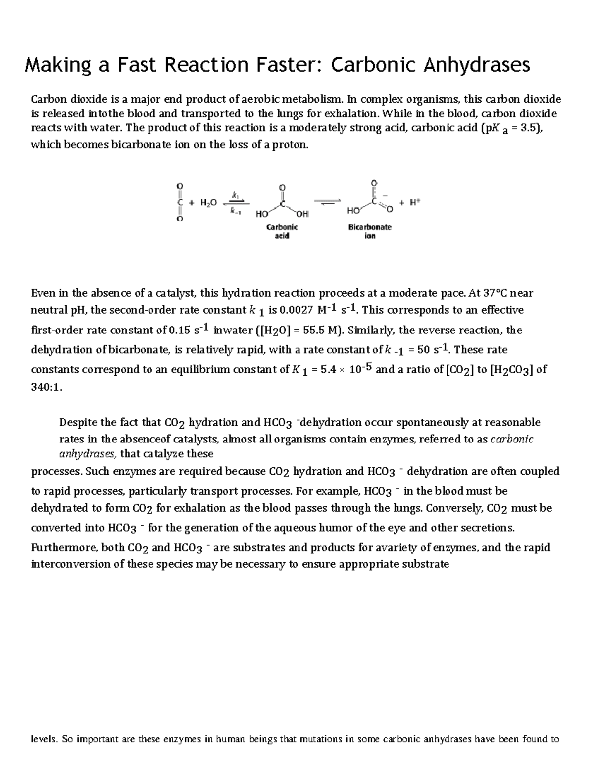Making a Fast Reaction Faster - levels. So important are these enzymes ...