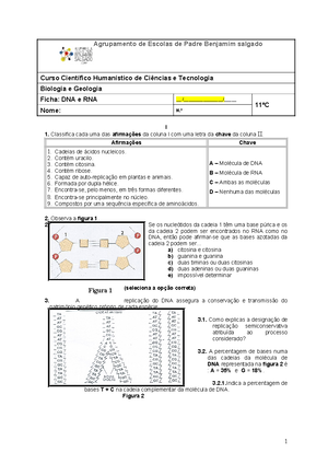 Manual ufcd 6563 - Prevenção e controlo da infecção na higienização de ...