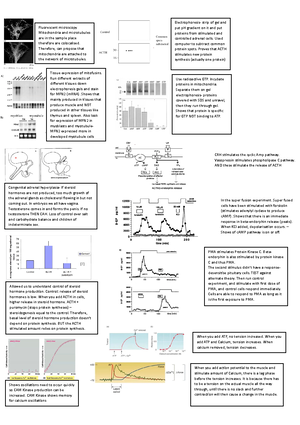 Ticker Timer Worksheet - Page 1 Year 10 Physics Mr Mark Judd Section 10. 2. 3 – Ticker Timer ...