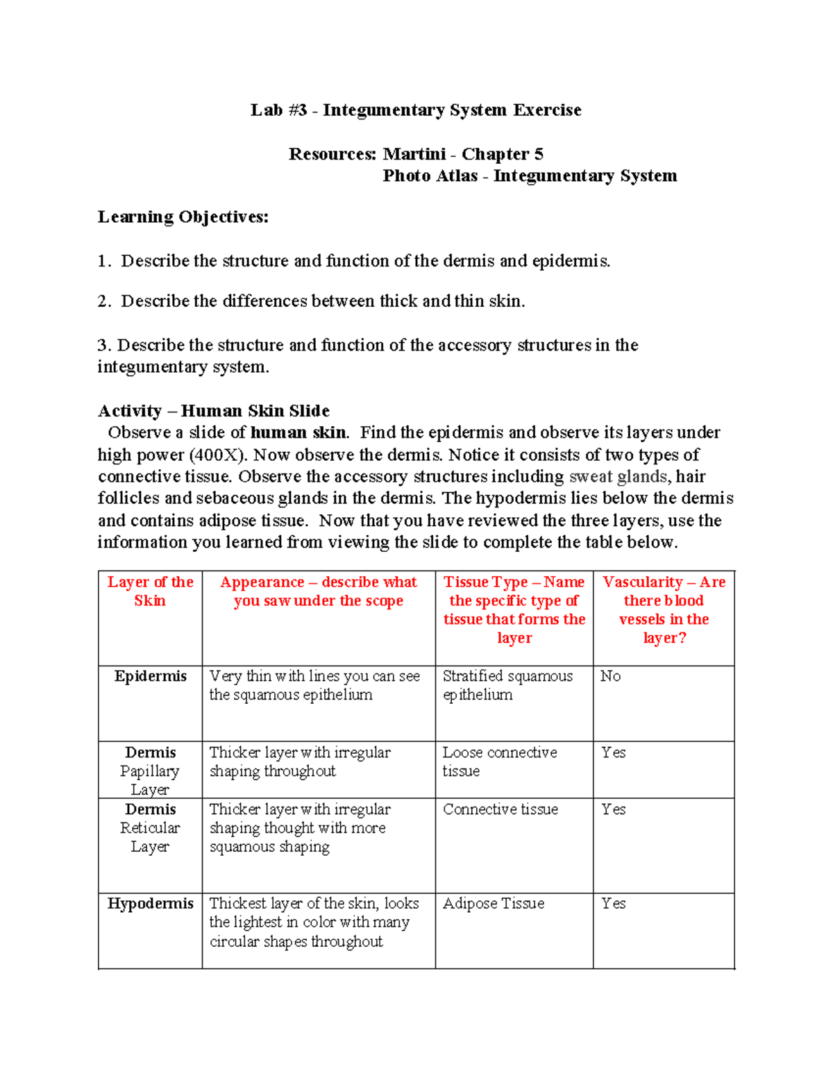 Lab 3 Skin activity - Lab #3 - Integumentary System Exercise Resources ...