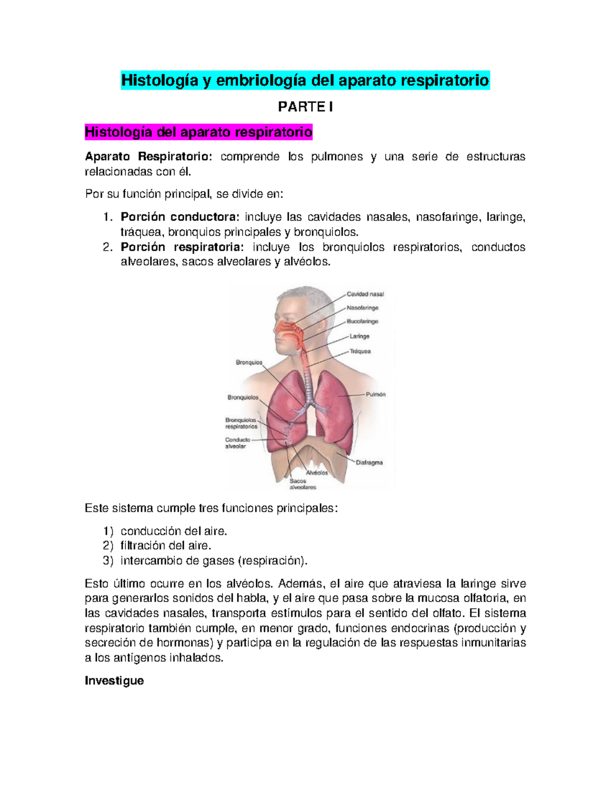 Guia 2 micro II - gjgj - Anatomía - UES - Studocu