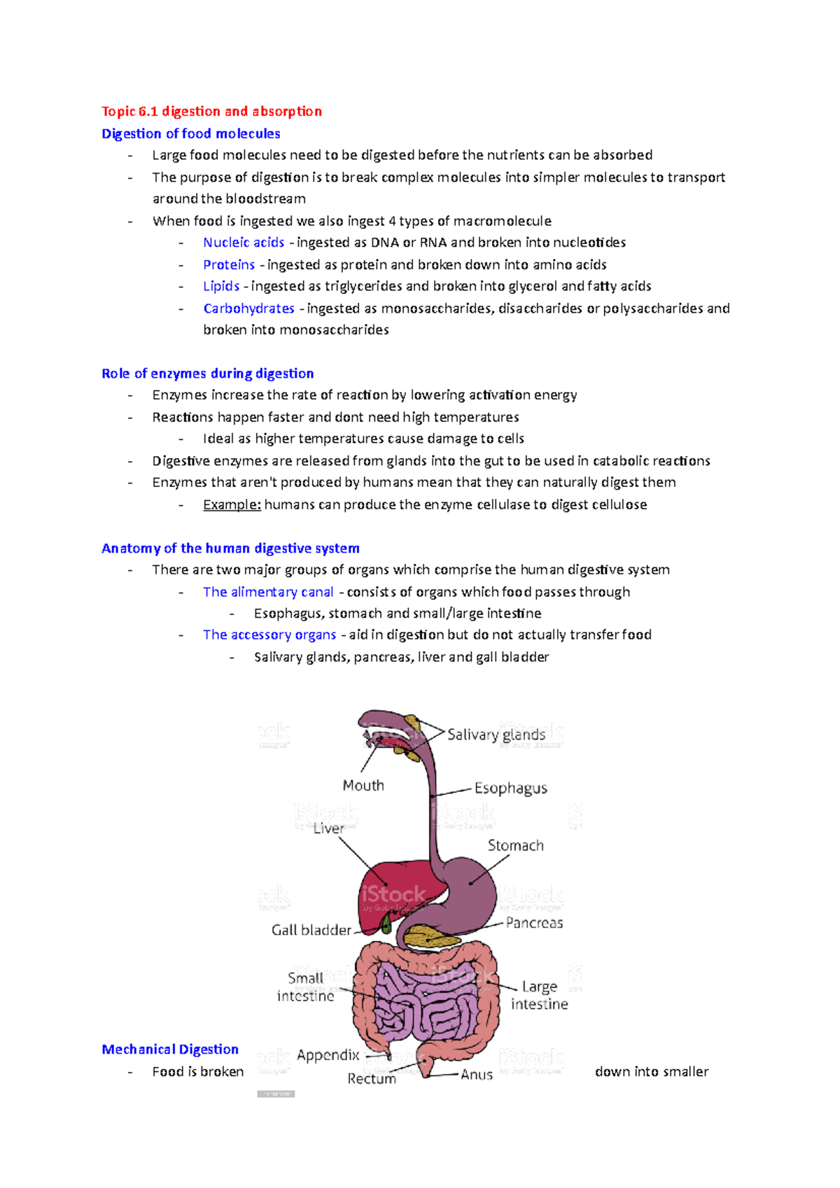 Topic 6 - human Physiology - Topic 6 digestion and absorption Digestion ...