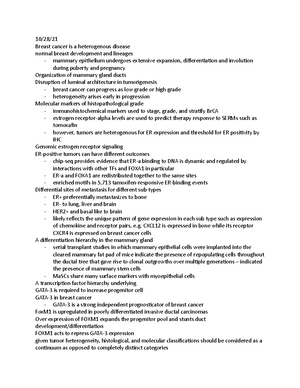 Skin Cancer - Professor Macleod - Melanocytes function in producing ...