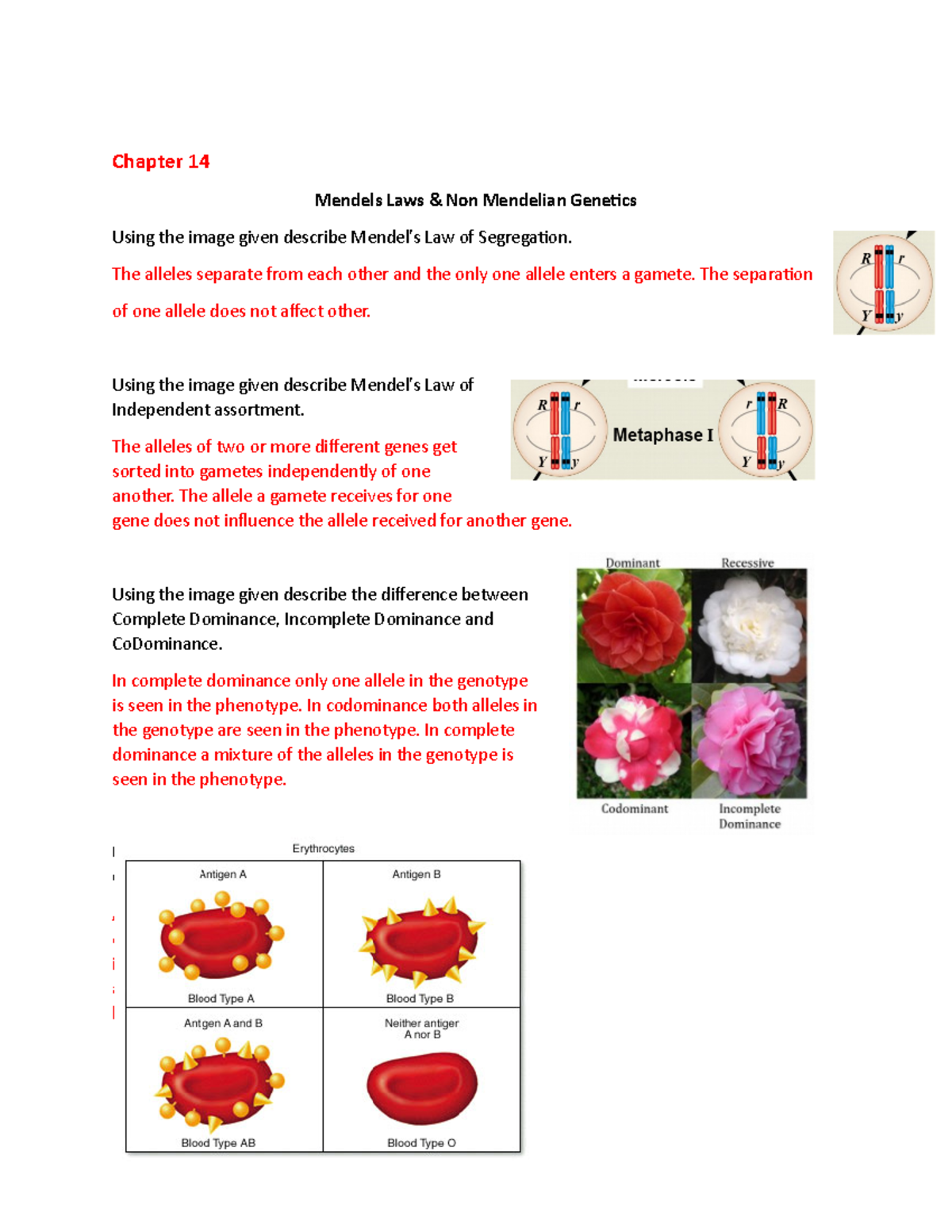 BIO181 W10 Homework - Chapter 14 Mendels Laws & Non Mendelian Genetics ...