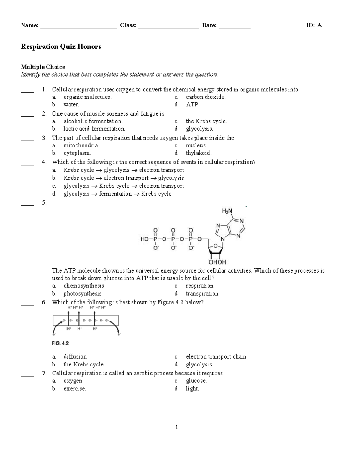 Respiration Quiz - ____ 1. Cellular respiration uses oxygen to convert ...