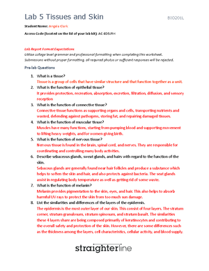 Instructions for Lecture exam-1 - Instructions for Lecture and lab exam ...