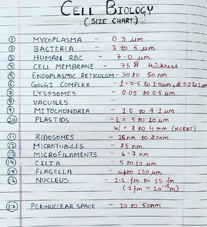 Beet membrane lab report- Paula Luna - Beet Membrane Lab Report ...