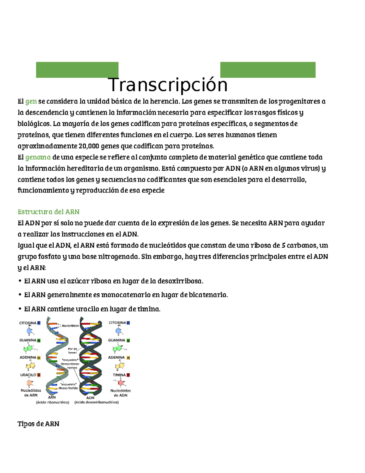 Biologia - Examen - El gen se considera la unidad básica de la herencia ...